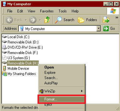 Formatting Sd Card How To Format SD/Micro SD Cards: Easy Steps Guide