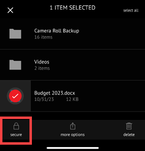 Steps to Secure Files and Folders Using iXpand Drive Mobile App | SanDisk