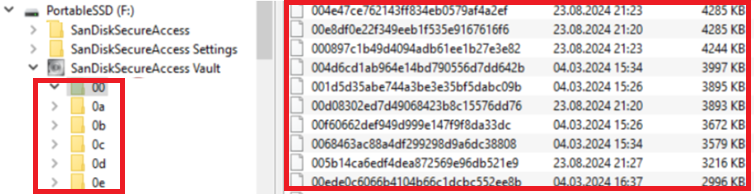Steps to Fix Unreadable Files or Corrupted SecureAccess Vault | SanDisk