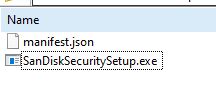 如何安装 SanDisk Security (Windows) | SanDisk